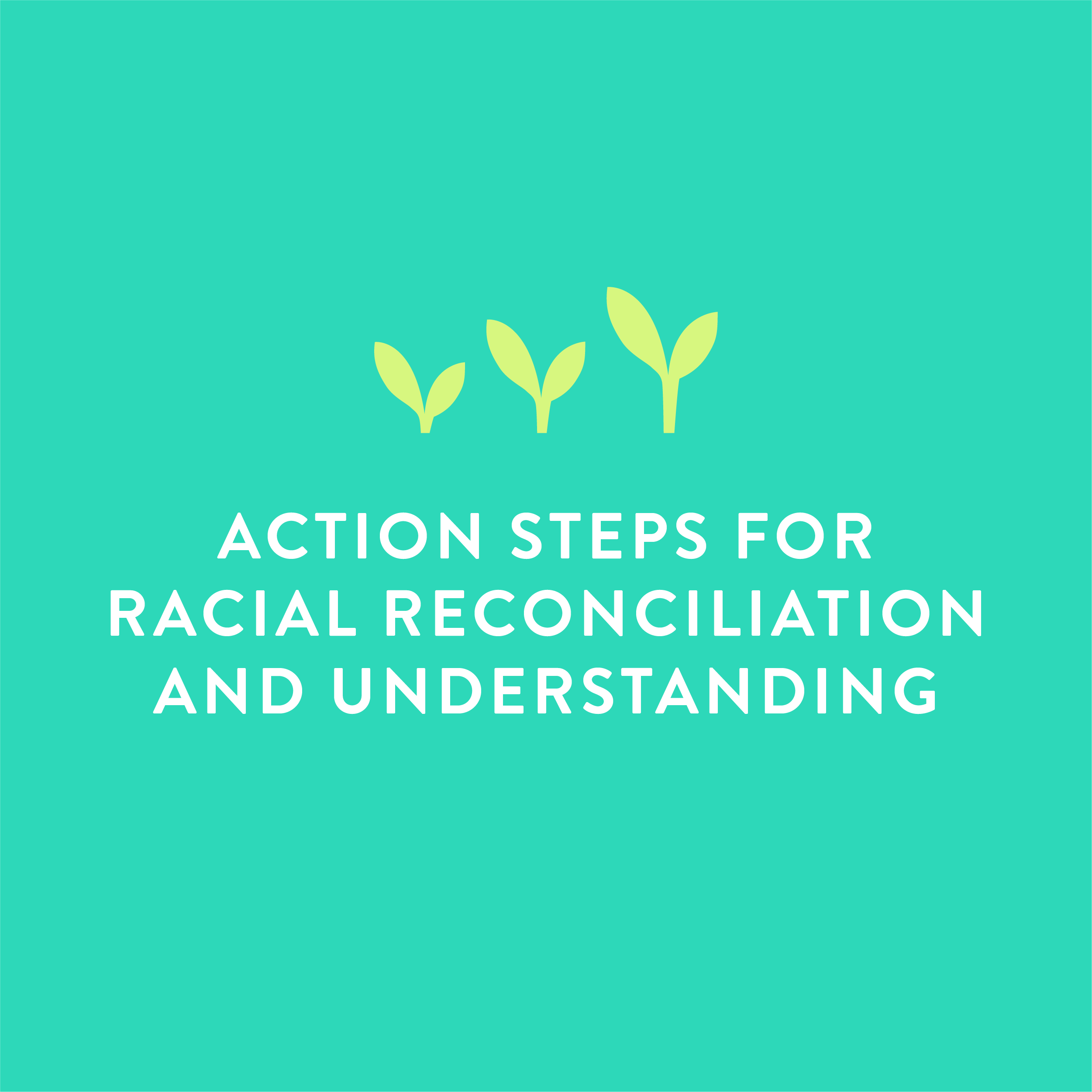 Action Steps for Racial Reconciliation and Understanding – Cultivate