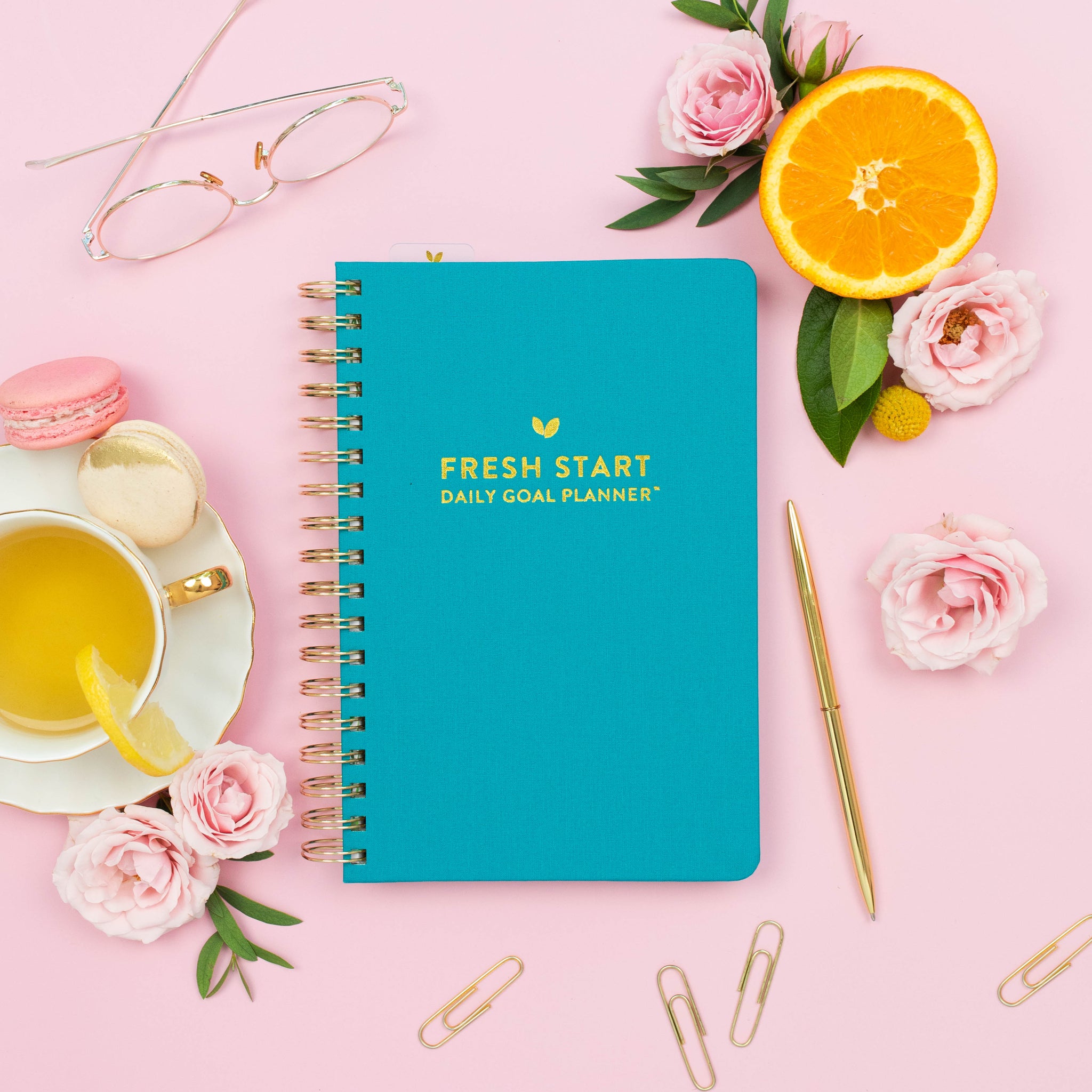 Fresh Start Daily Goal Planner® | Undated (Ivy Spiral) – Cultivate