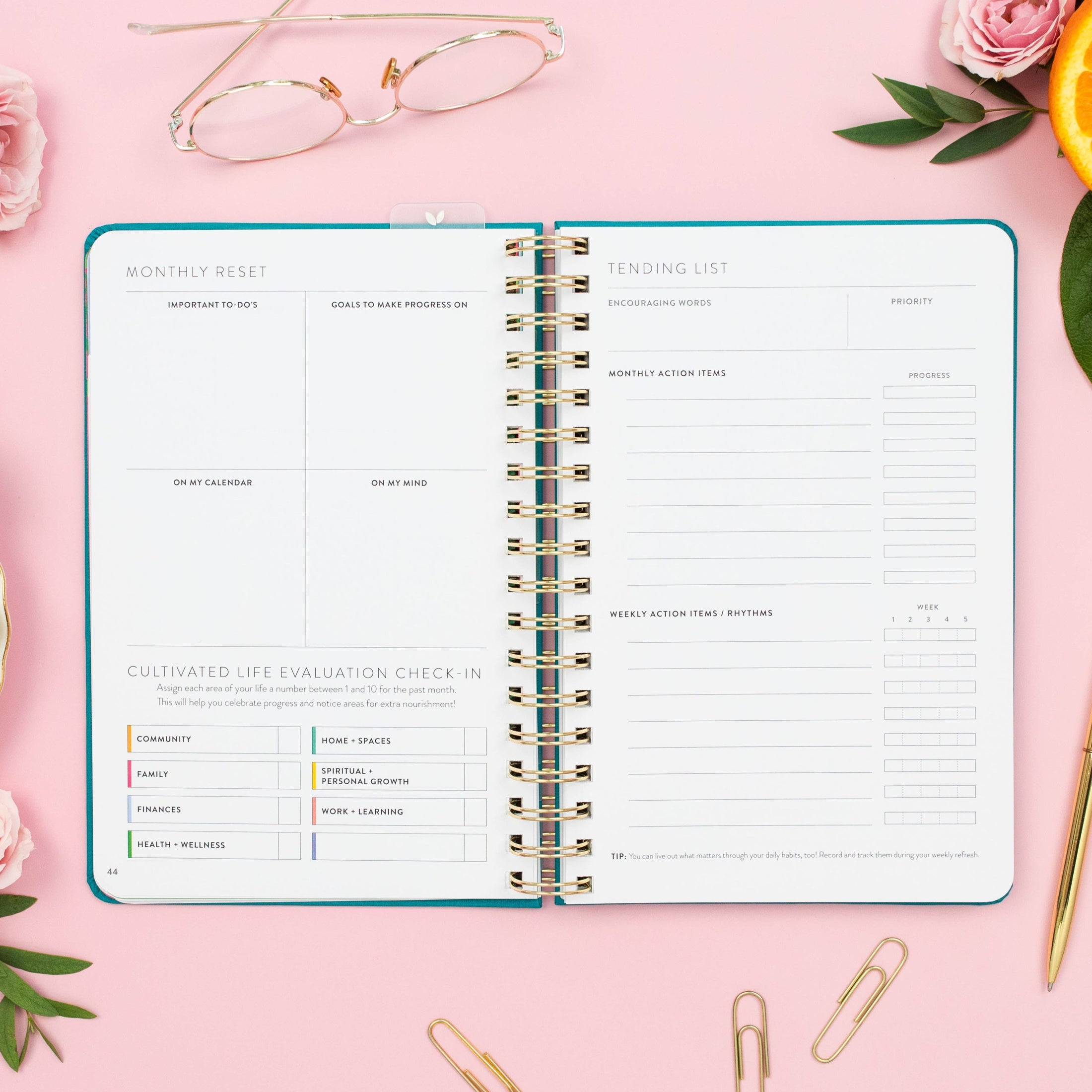 Fresh Start Daily Goal Planner® | Undated (Ivy Spiral) – Cultivate