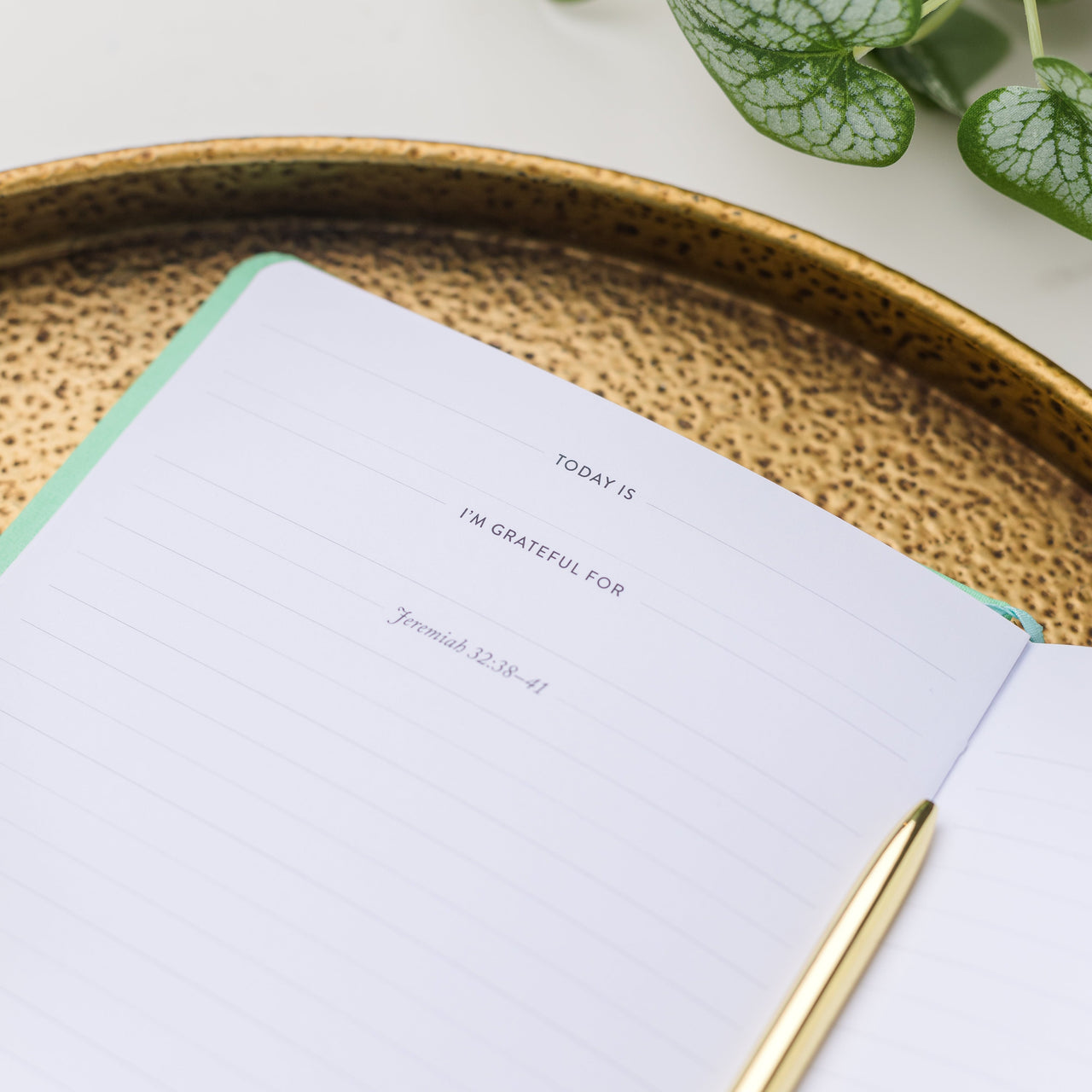 Write the Word Hub – Cultivate