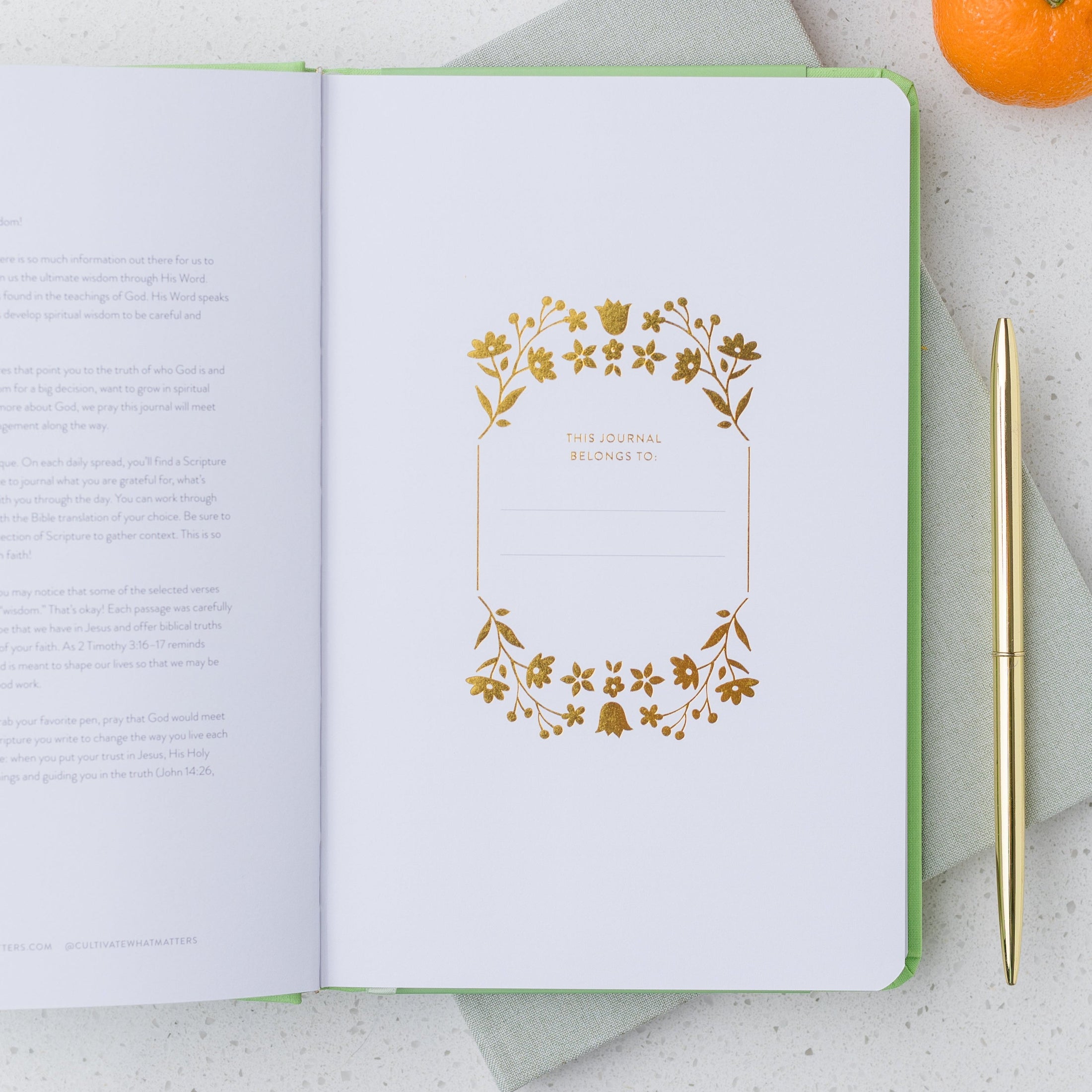 Write the Word® Journal | Wisdom – Cultivate