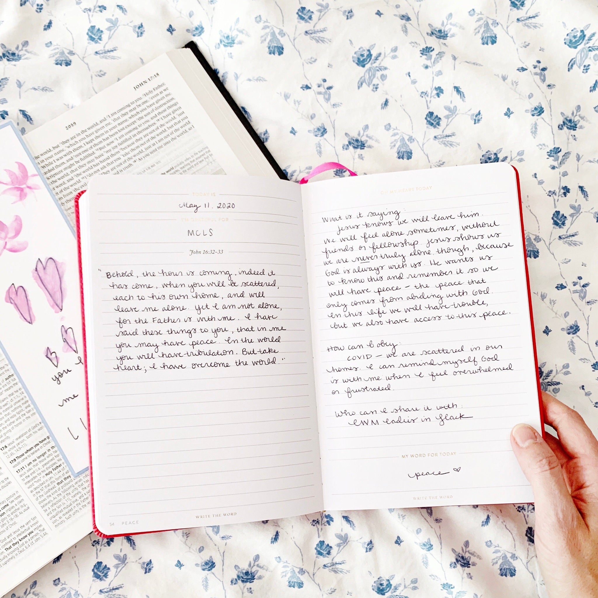 Write The Word Bible Journal | Fruit of the Spirit – Cultivate