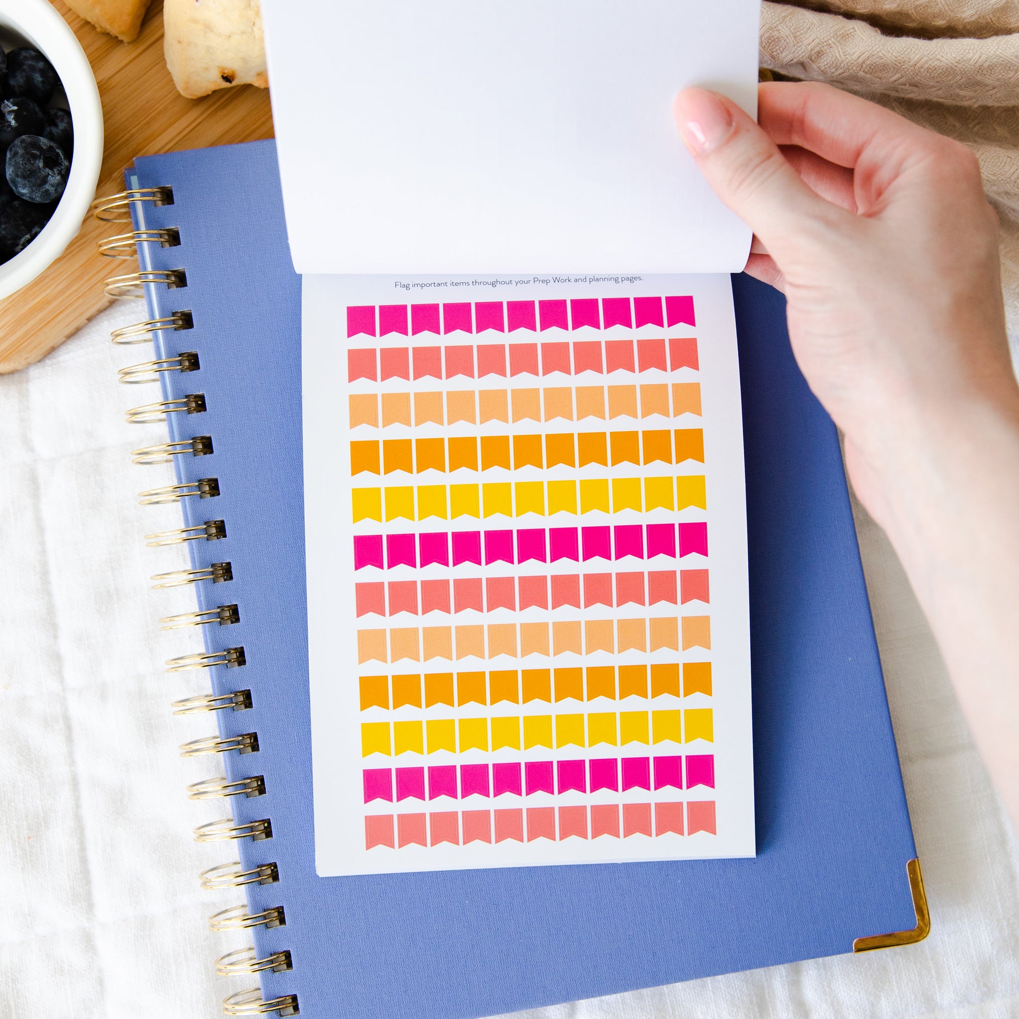 Color Coding Sticker Book – Cultivate